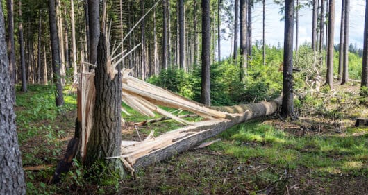 Avoiding Target Fixations and Incident Pits in the Backcountry ...